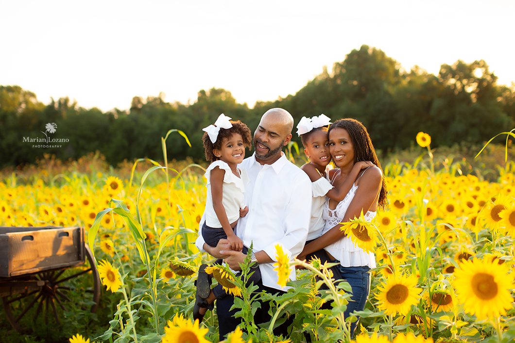 Sunflower Field Photo Session| Northern Virginia Family Photographer ...